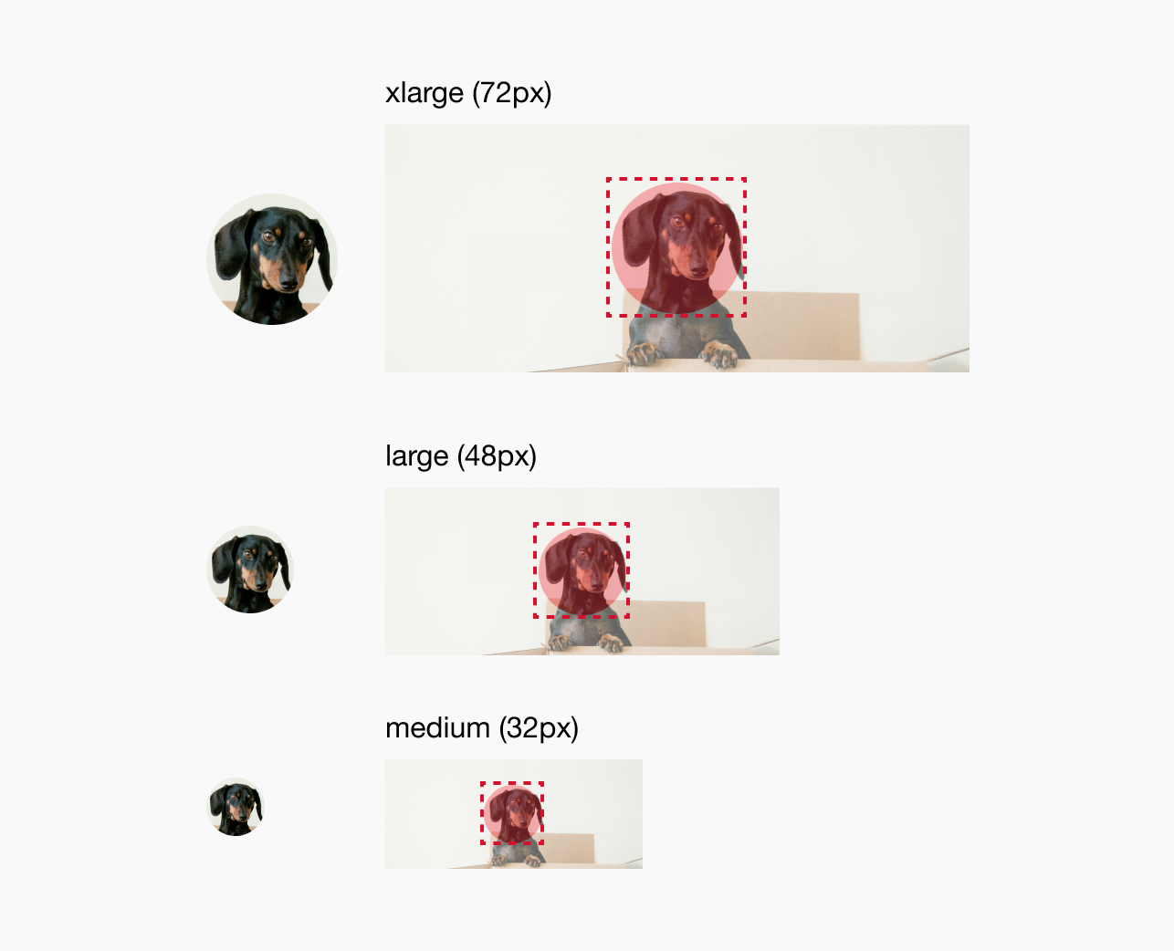 Usage | Avatar | Made with Supernova