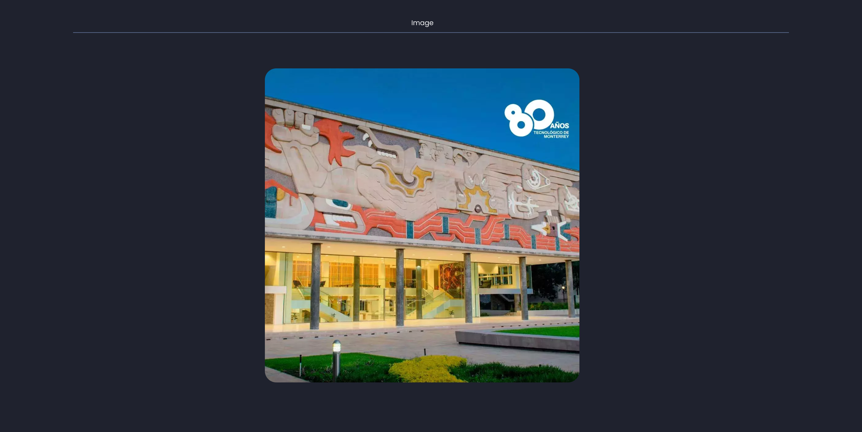 Descripción general | Image | Made with Supernova